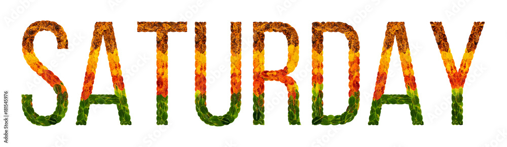 word saturday written with leaves white isolated background, banner for ...