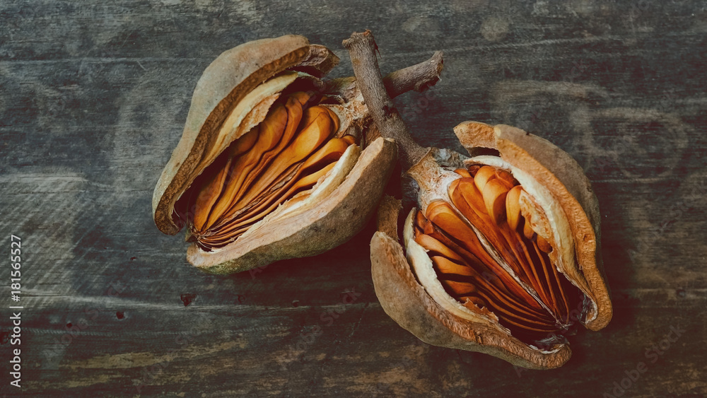 Mahogany seed pod on rustic wood table with vintage color tone process ...