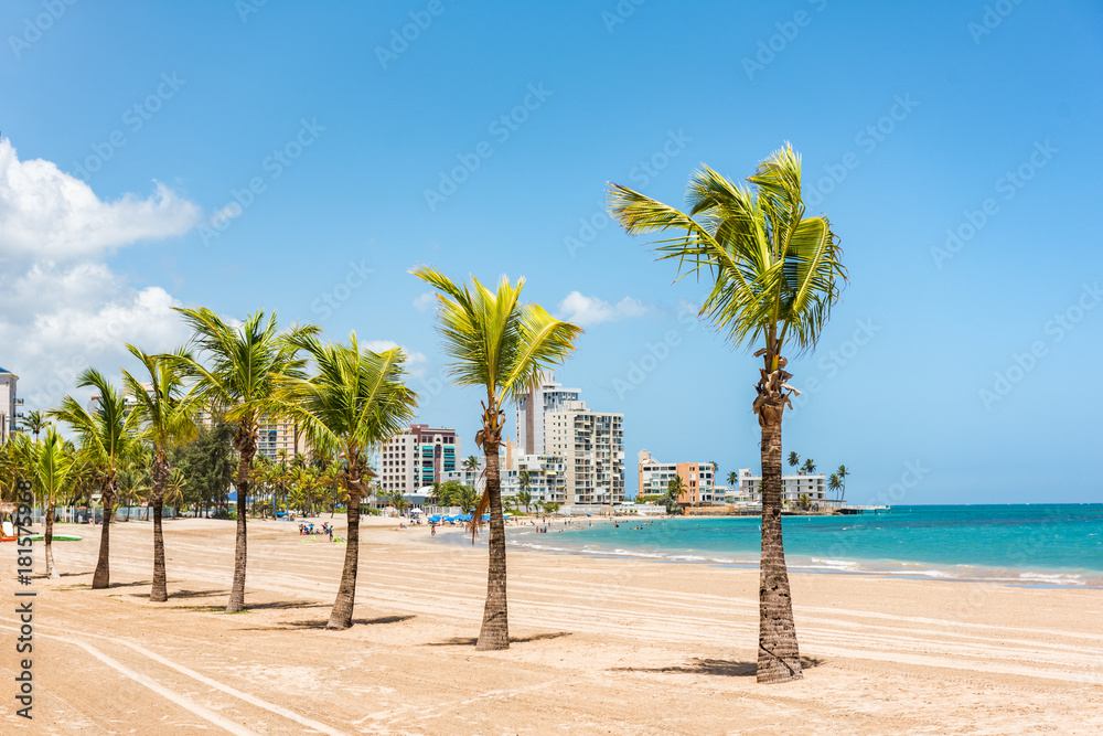 Puerto Rico San Juan beach landscape with palm trees in tropical famous ...