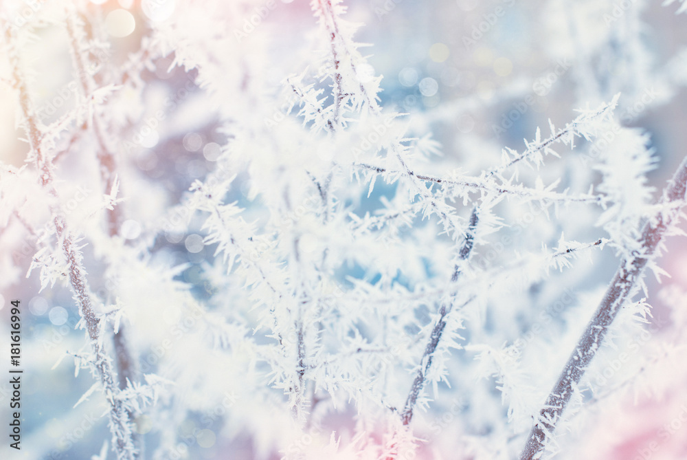 Winter Abstract Background - Frosty Snowy White Background with Bokeh ...