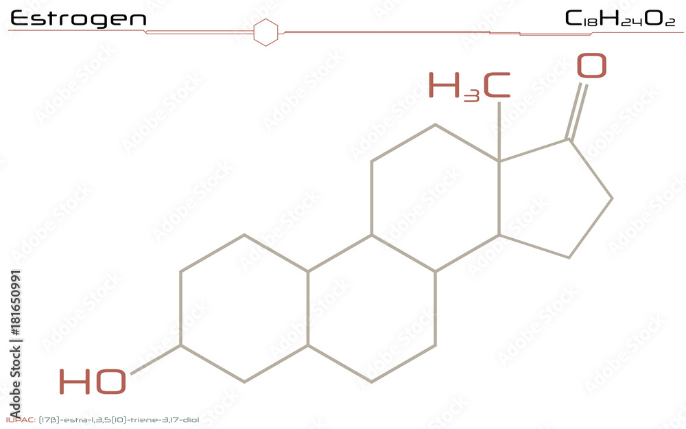 Large and detailed illustration of the molecule of Estrogen Stock ...