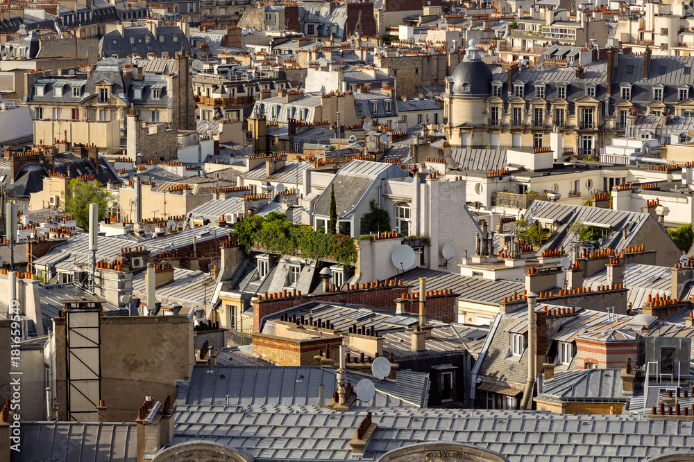 Paris rooftops in summer with their roof gardens, mansard and French ...