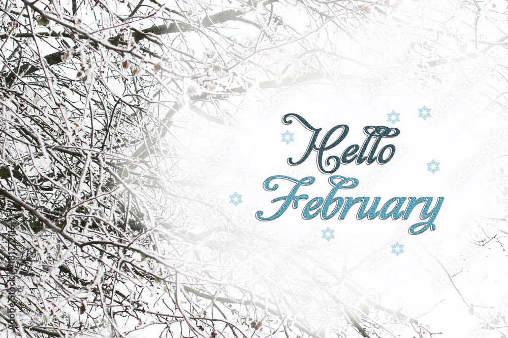 With the text "Hello February". Tree in the snow close-up. Winter and ...