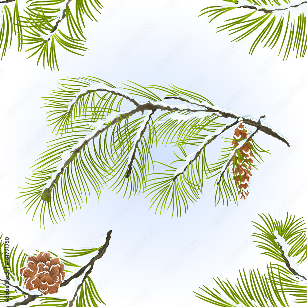 Pine Tree Texture Vector