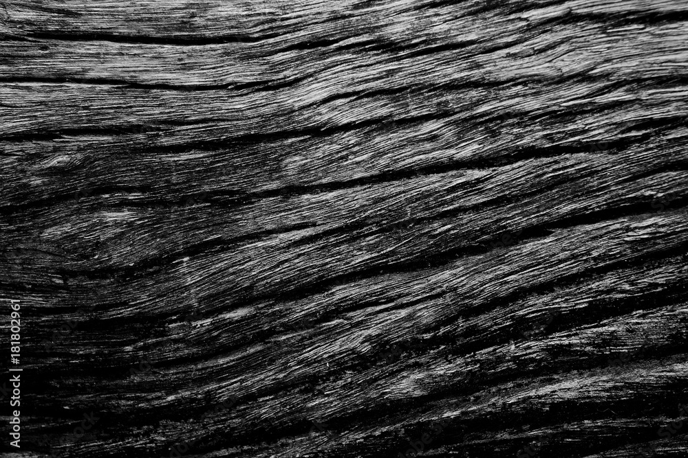 Burnt wood texture Stock Photo | Adobe Stock