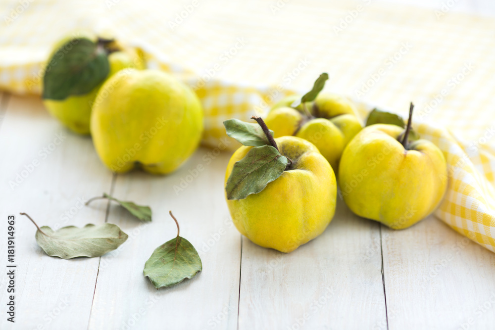 wealth, crop, cornucopia concept. on the shining white surface of the ...