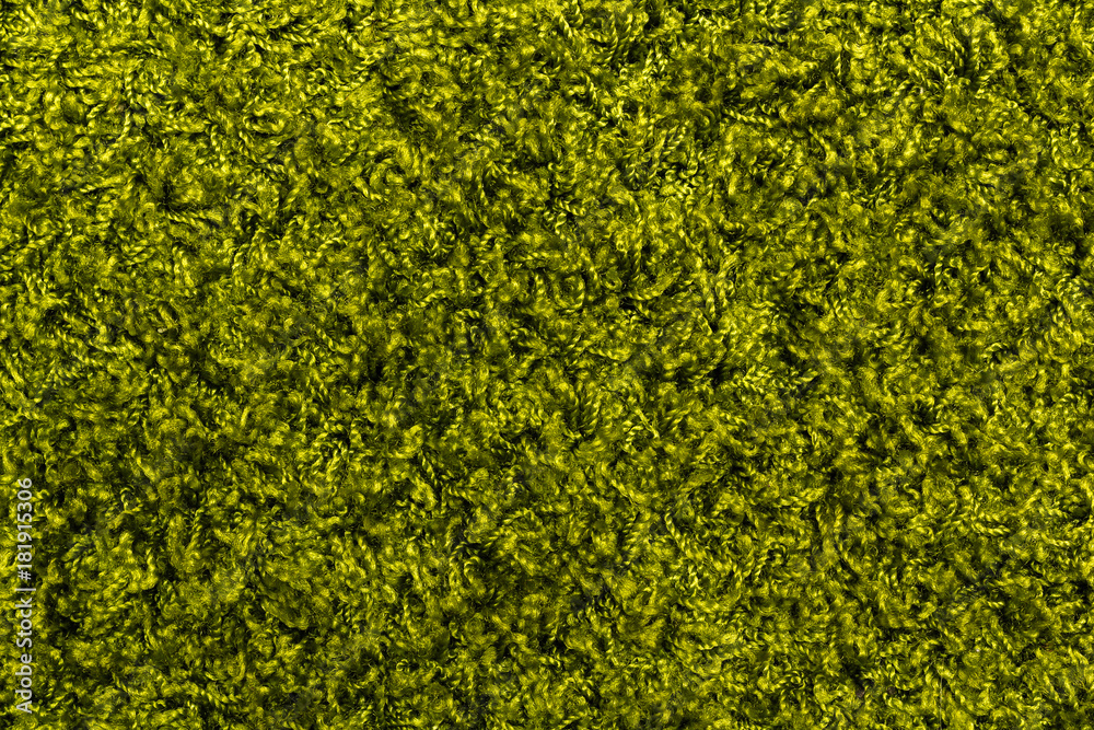 Green fluffy carpet floor texture Stock Photo | Adobe Stock