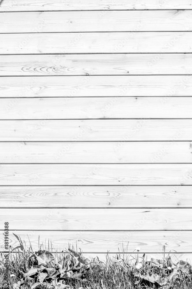 Texture, whiteboard, background. Wood texture background. An empty ...