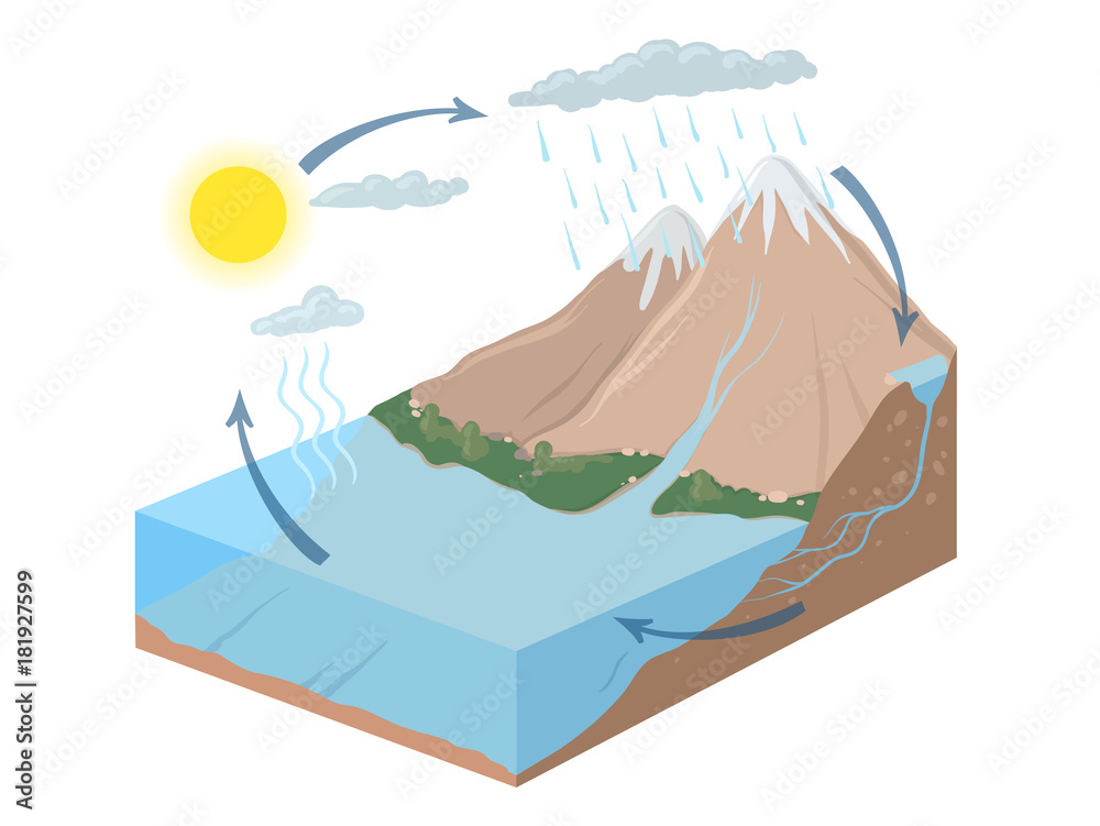 Vector schematic representation of the water cycle in nature ...