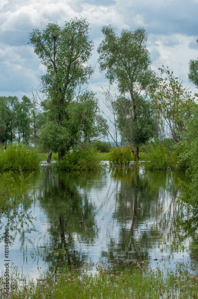 floodwaters. water overflowing as the result of a flood. High spring ...
