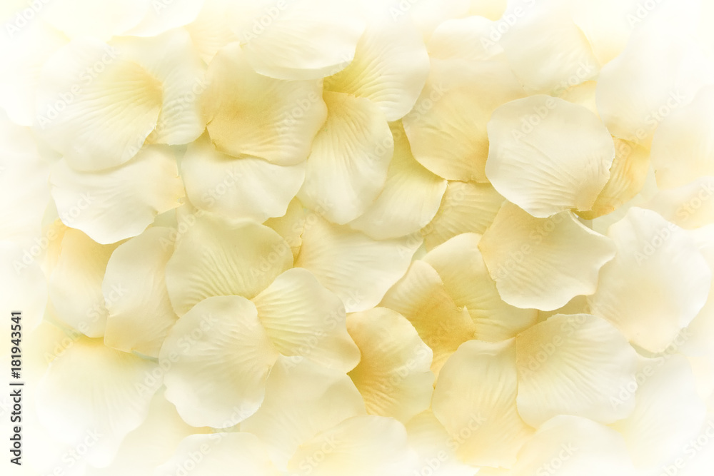 Pale Yellow Stock Flower