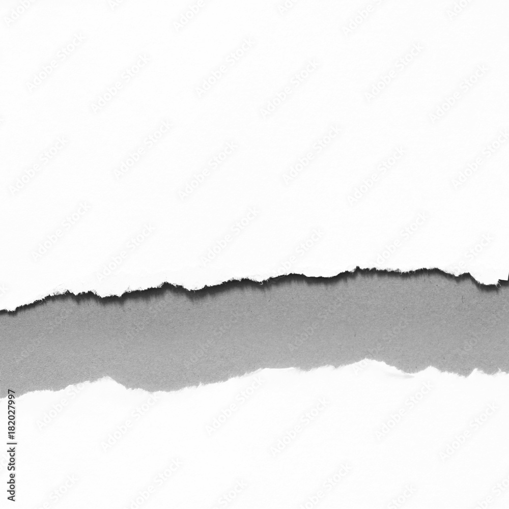 Gray ripped paper texture background. copy space Stock Photo | Adobe Stock
