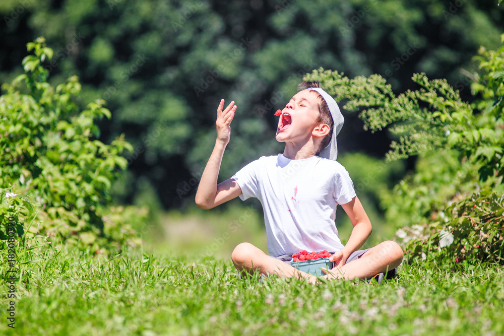 boy enjoys the taste of raspberries. the child throws the raspberries ...