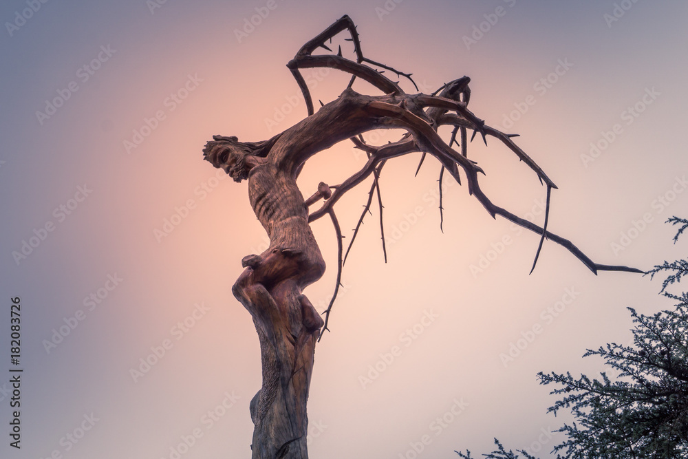 Christ crucifixion carved into a tree in Lebanon Stock Photo | Adobe Stock