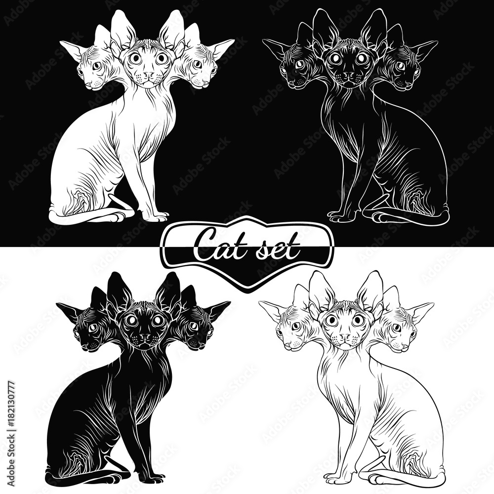 Cat of the Sphynx breed. A cat with three heads. Stock Vector | Adobe Stock