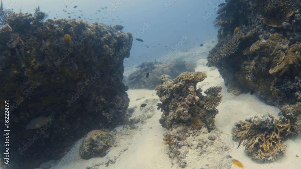 A moving shot underwater that gets in between two coral reefs. Small ...