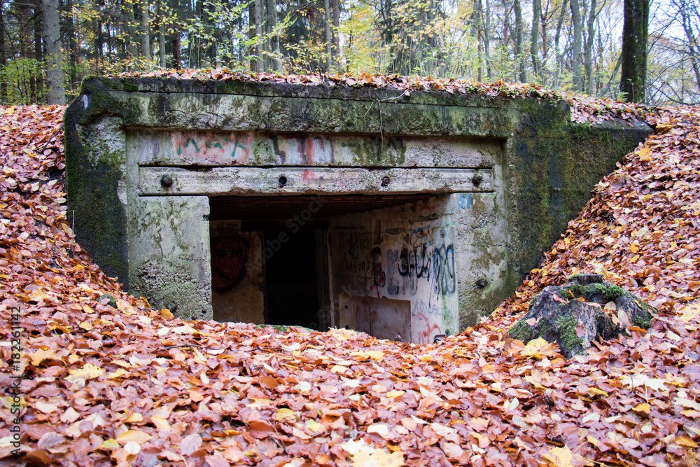 Old bunkers from World War II. German fortifications from the ...