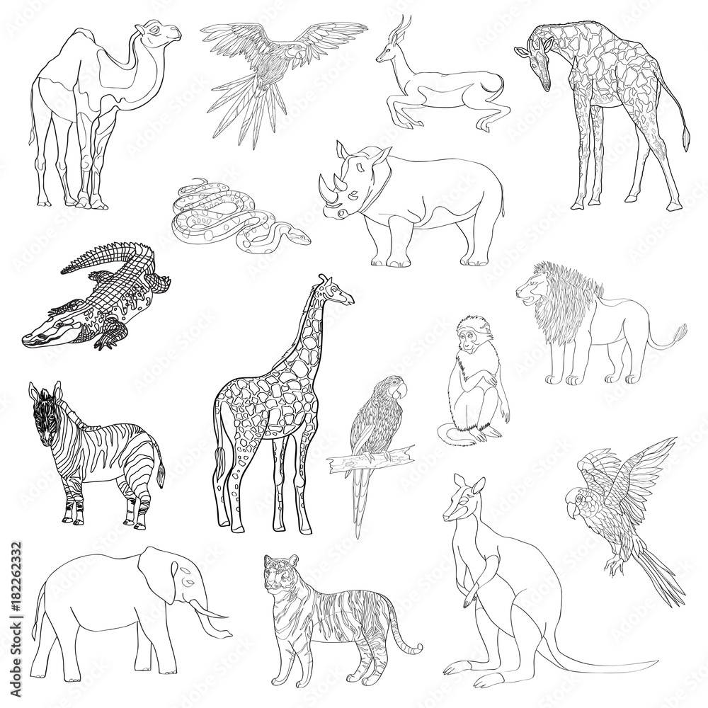 Vector illustration. Set of animals, parrot, giraffe, monkey, gazelle ...