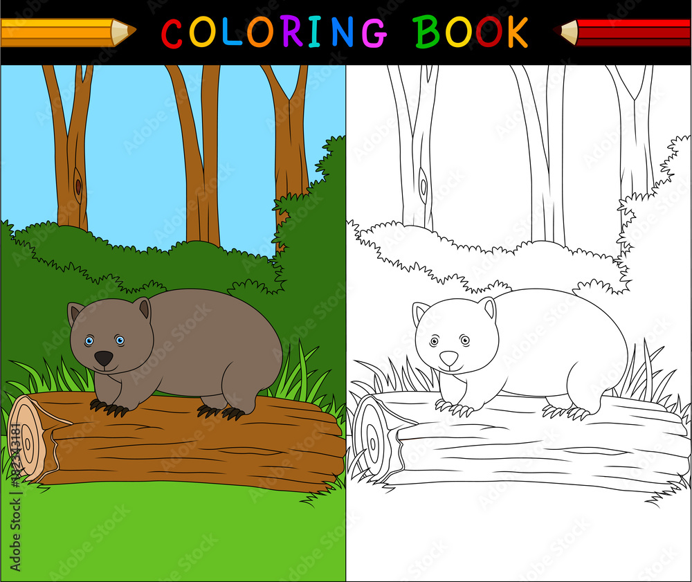 Cartoon wombat coloring book Stock Vector | Adobe Stock