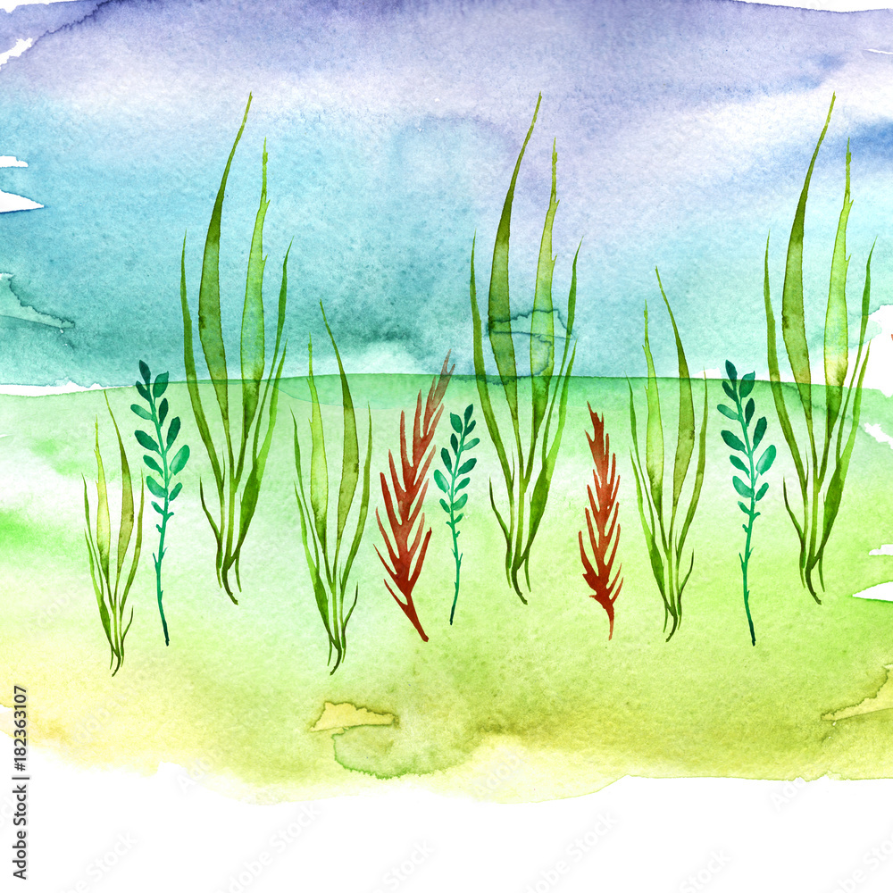 Watercolor drawing of seaweed, wild grass, seamless linear pattern. A ...