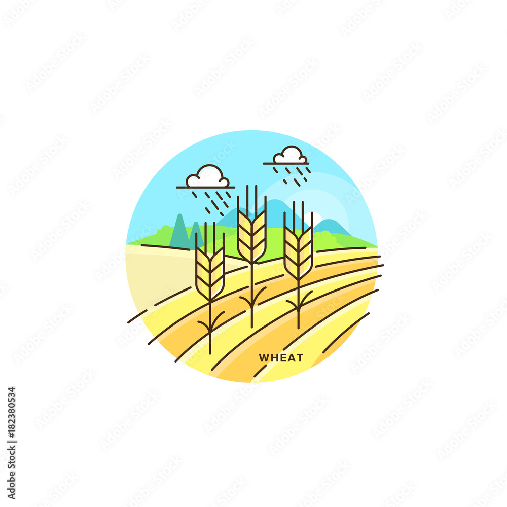 Farm Field Vector