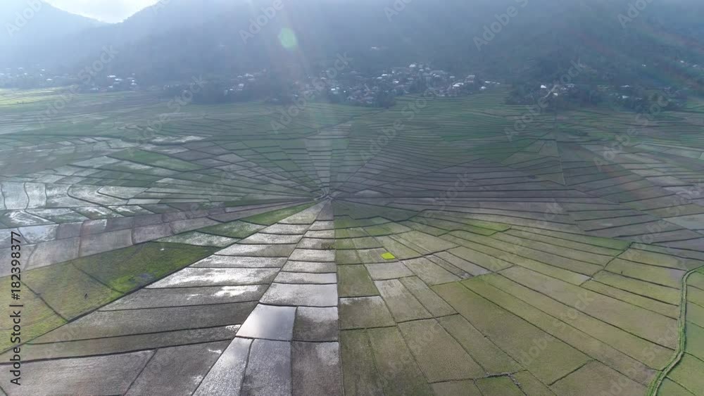 Spider web rice field in Ruteng, Flores island, Indonesia. Aerial view ...