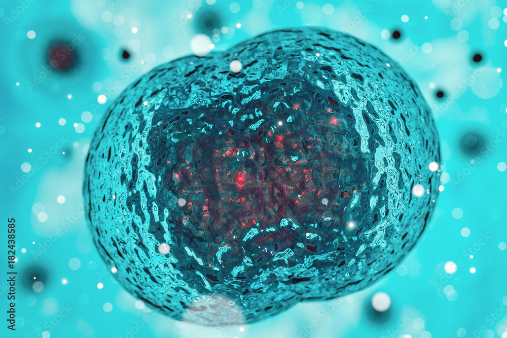 Two-cell embryo, Mitosis under microscope (3D illustration) cells ...