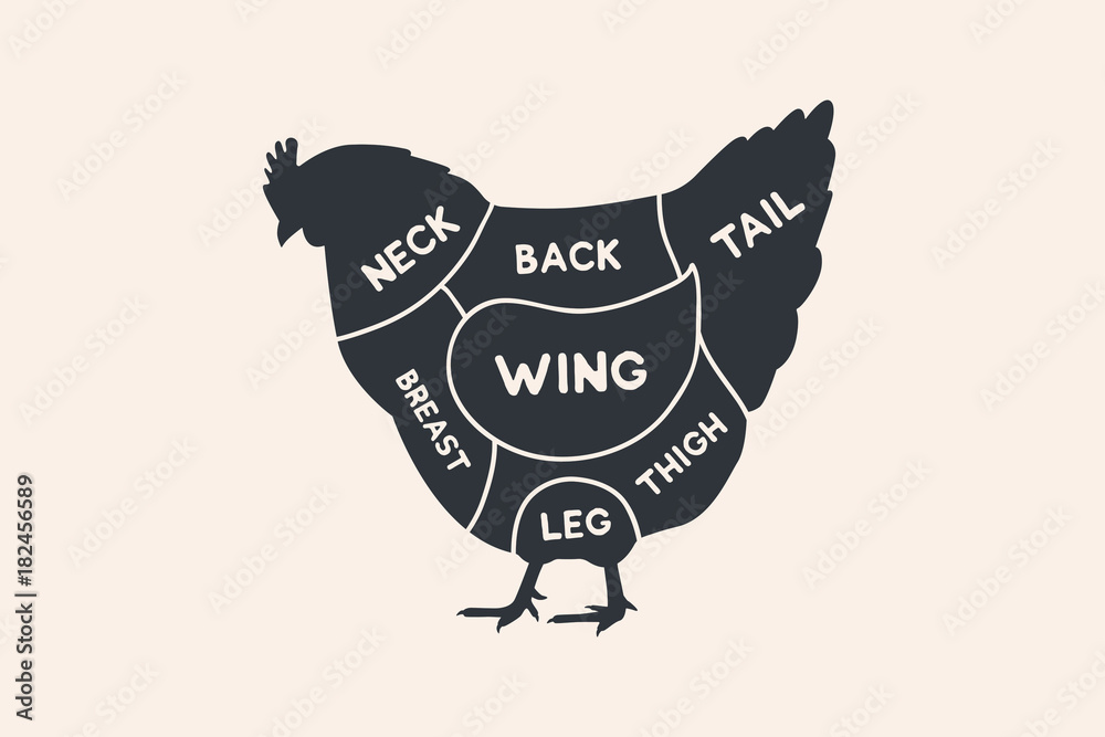 Chicken cuts. Diagrams for butcher shop. Scheme of chicken. Vector ...