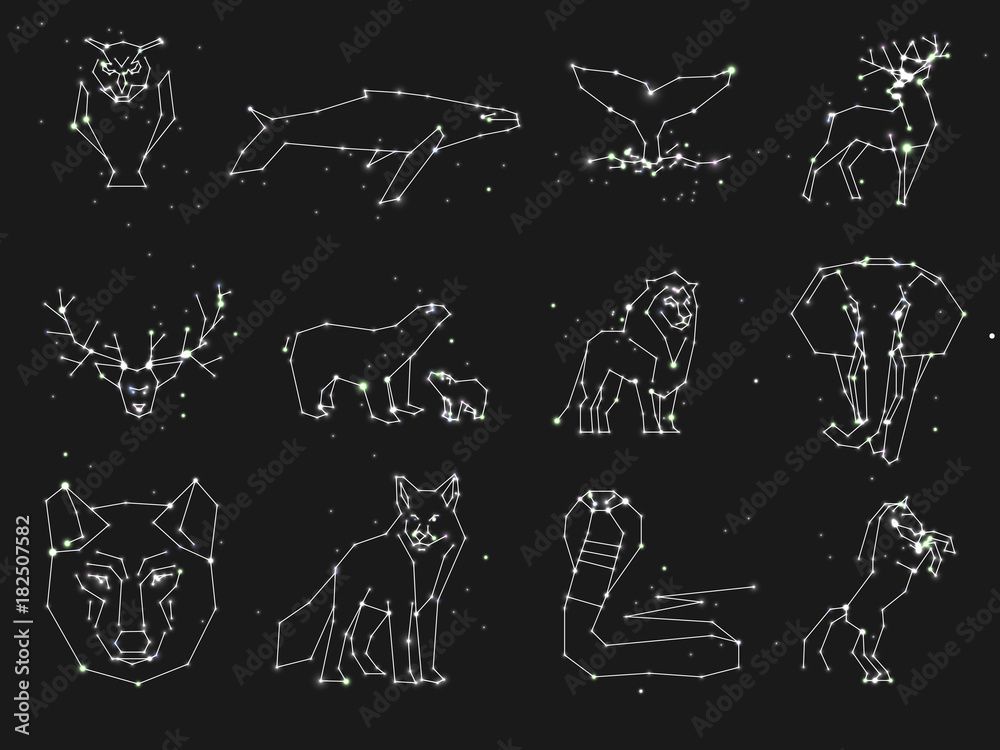 Vetor de Collection of animals constellation on dark sky. Wild animals ...