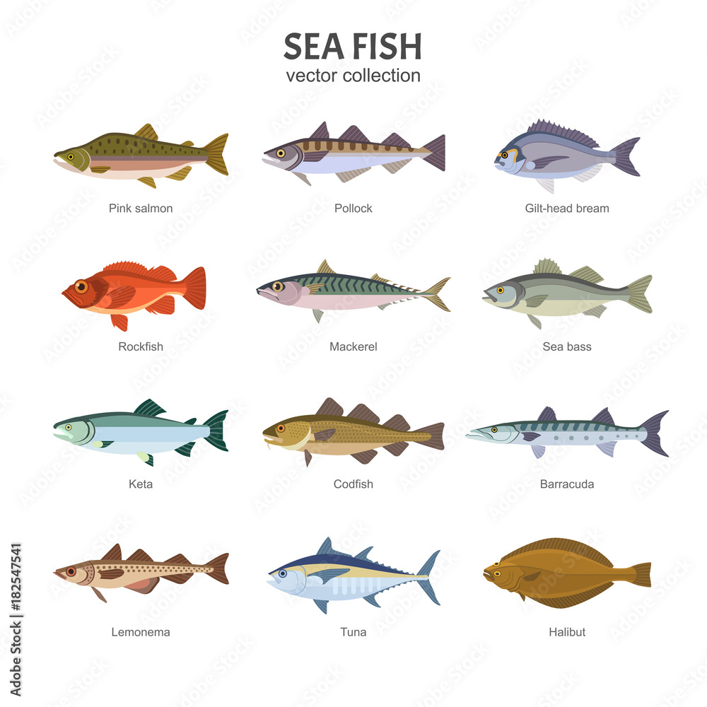 Types Of Fish