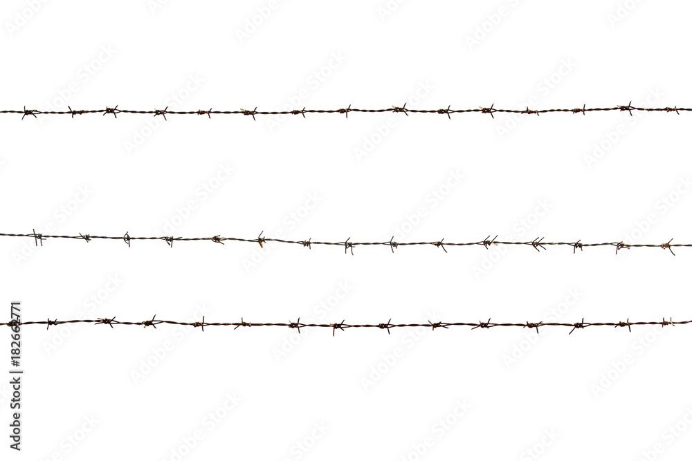 Barbed wire fence isolated on white background Stock Photo | Adobe Stock