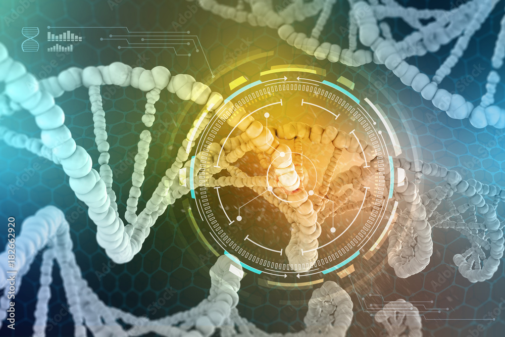 Genetic Engineering The Study Of The Structure Of DNA And RNA The genetic-engineering-the-study-of-the-structure-of-dna-and-rna-the
