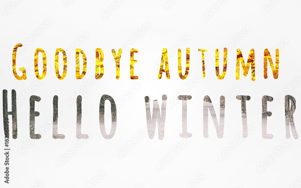 Goodbye Fall Hello Winter