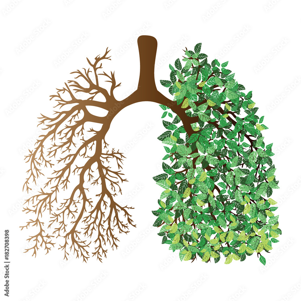 Human lungs. Respiratory system. Healthy lungs. Light in the form of a ...