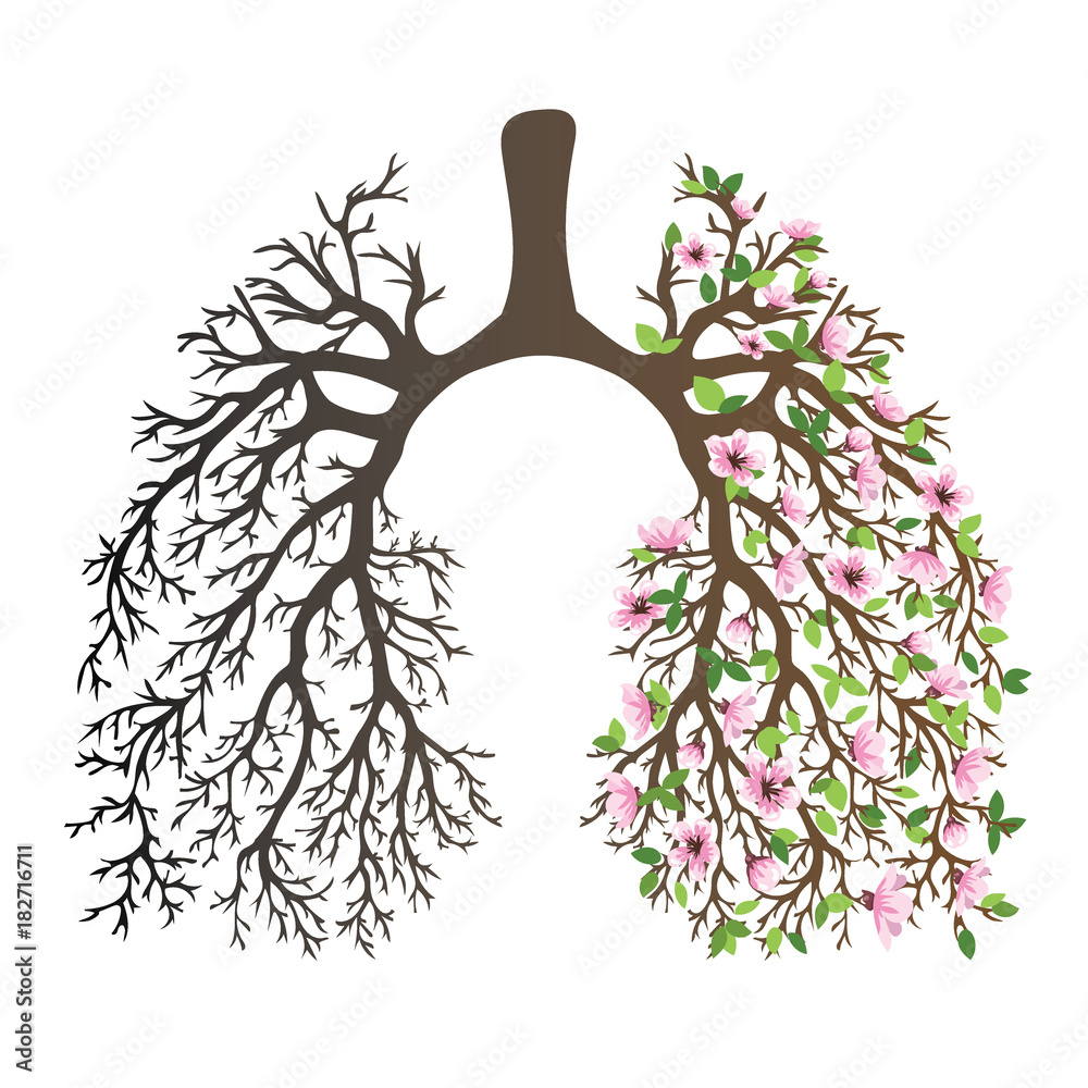 Human lungs. respiratory system. Healthy lungs. Light in the form of a ...