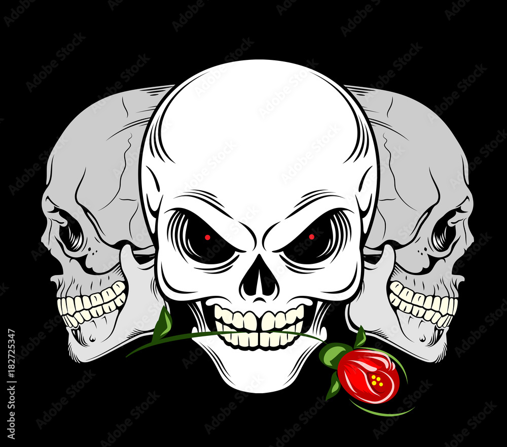 Human skull Stock Vector | Adobe Stock
