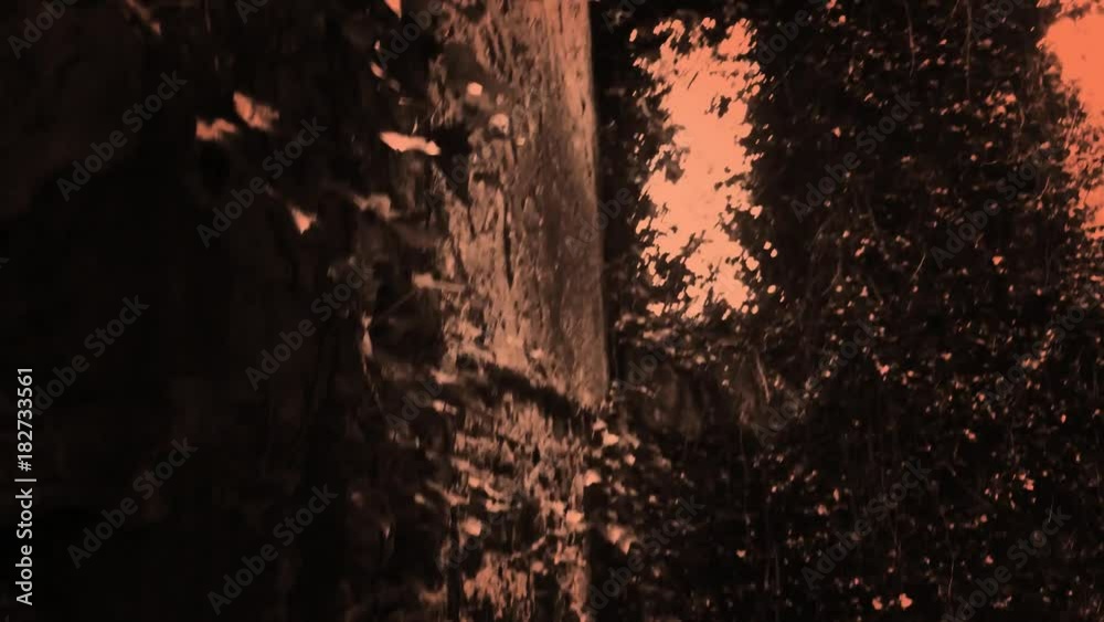 Horror concept - Monster Point of View POV through old ruins in the ...