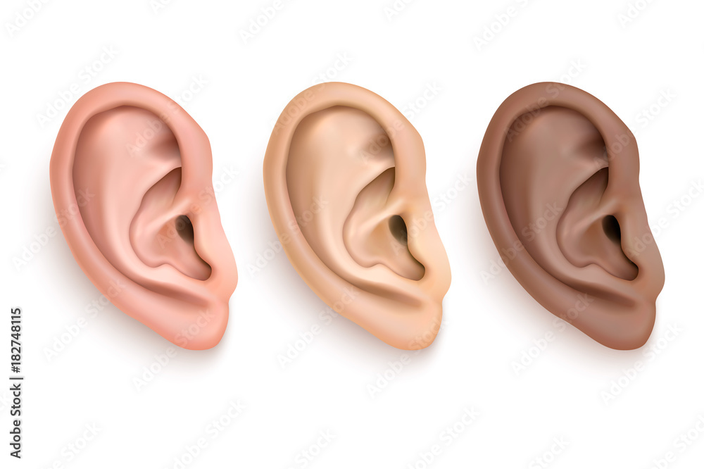 Vector realistic human ear iocn set closeup isolated on white ...