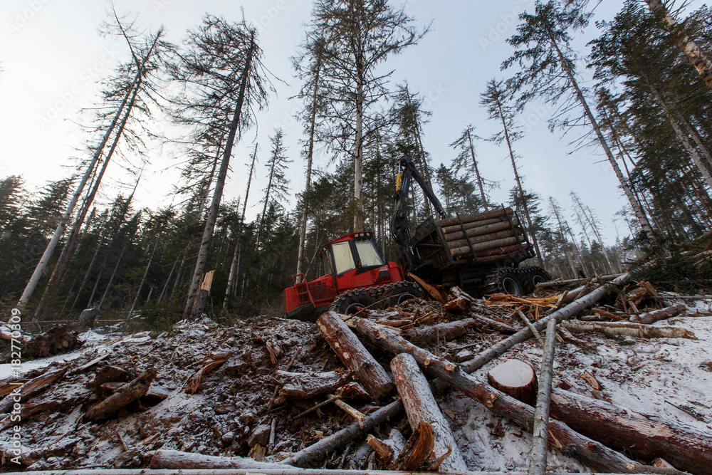 Deforestation, logging, woodworking, timber storage, deforestation in ...