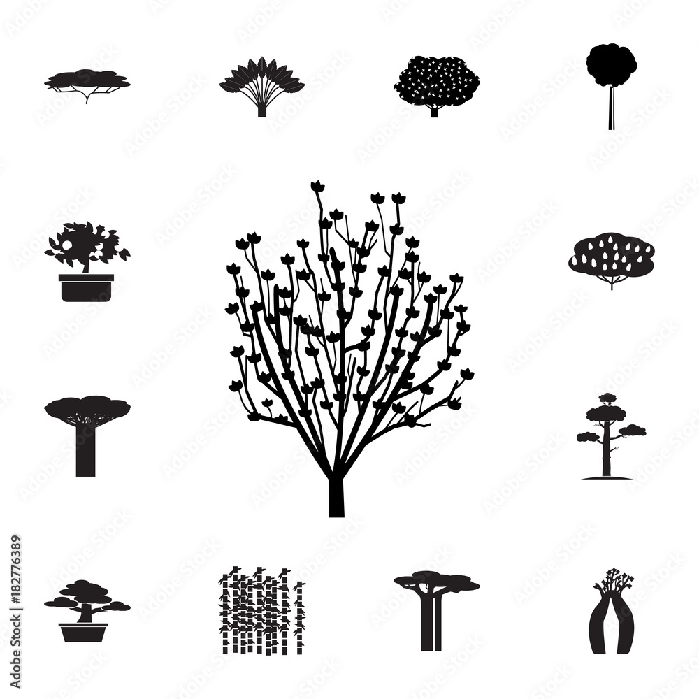 Magnolia tree icon. Set of silhouette of tree icons. Web Icons Premium ...