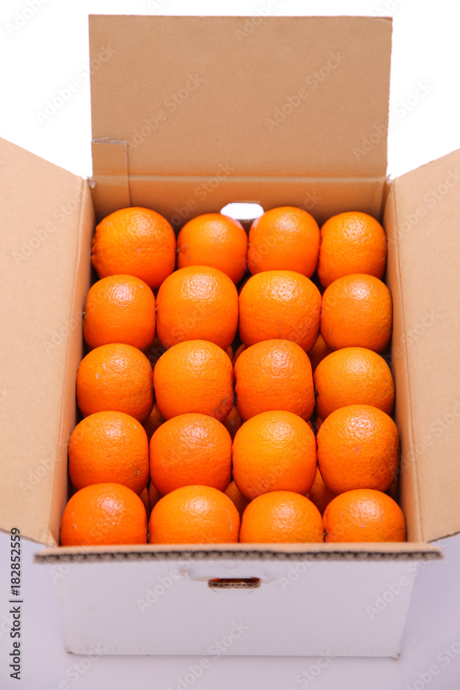orange fruit citrus tankan in a carton box isolated on white Stock ...