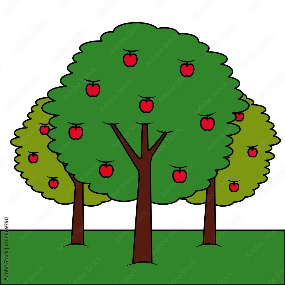 three apple trees bush foliage fruit natural vector illustration Stock ...