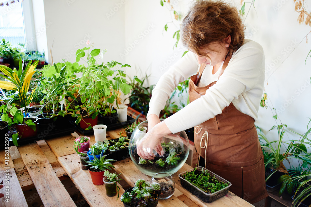 Botany. Woman florist grows house plants and flowers. Make a mini ...