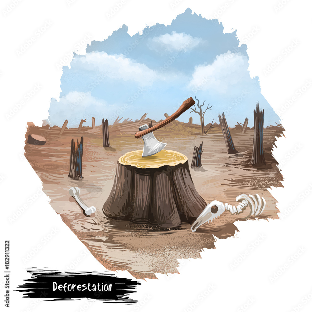 Afforestation And Deforestation Drawings