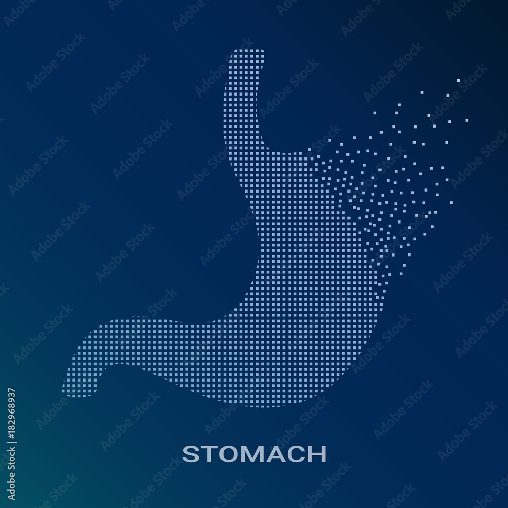 Abstract Vector Illustration Of Human Stomach On Blue Background. Pixel ...