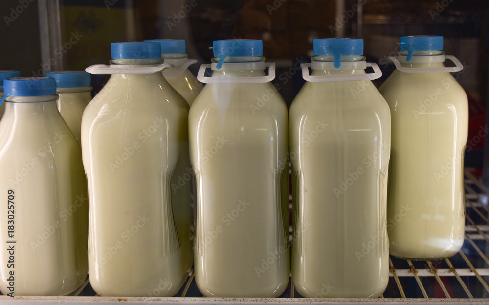 Glass quart and half gallon containers of white milk on grocery store ...