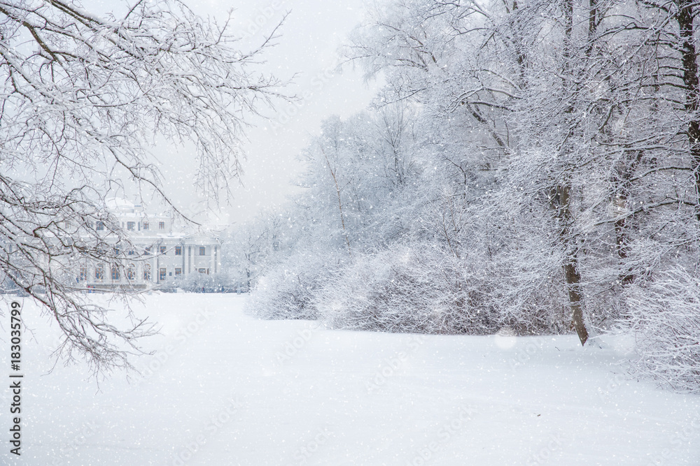 Winter Wonderland Hd