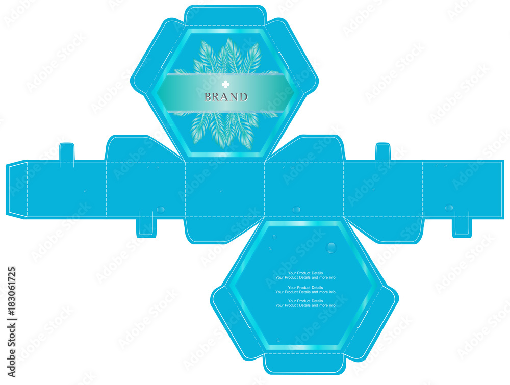 Packaging design, luxury 6-sided box design template. Illustration ...