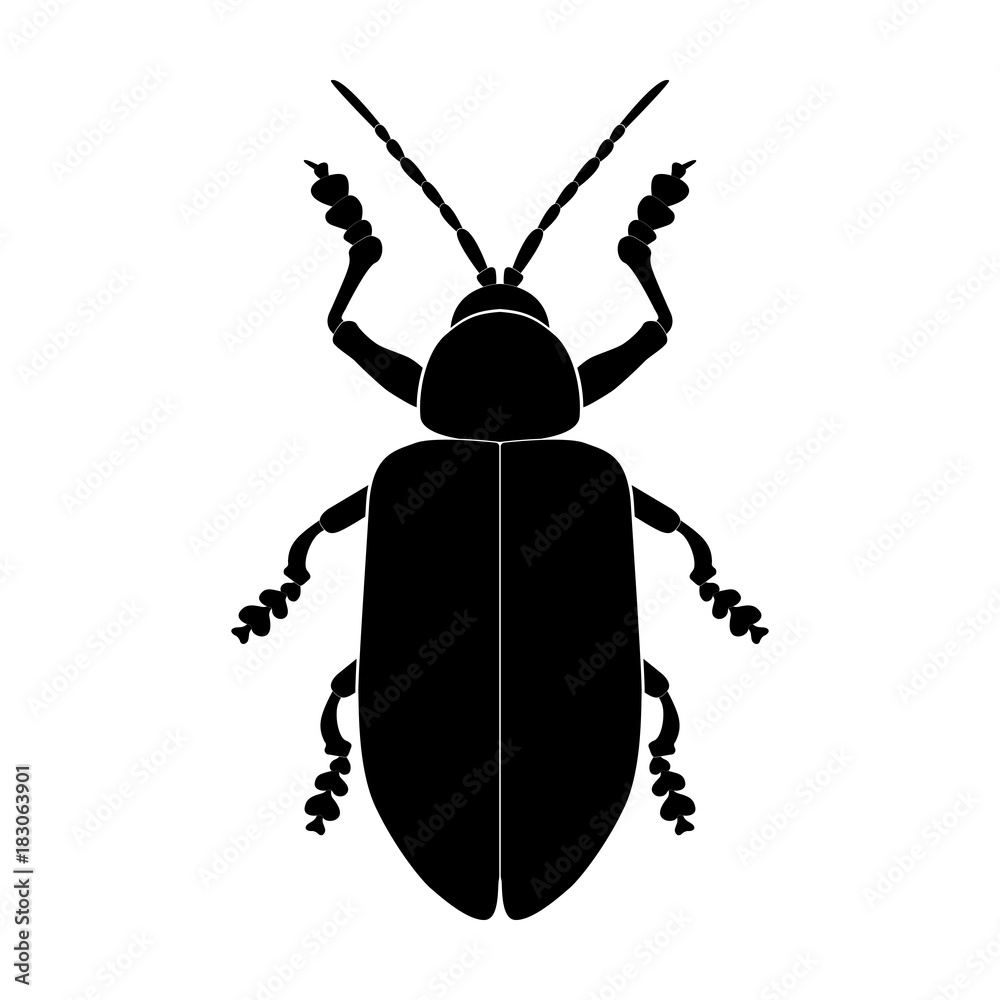 Insect Silhouette