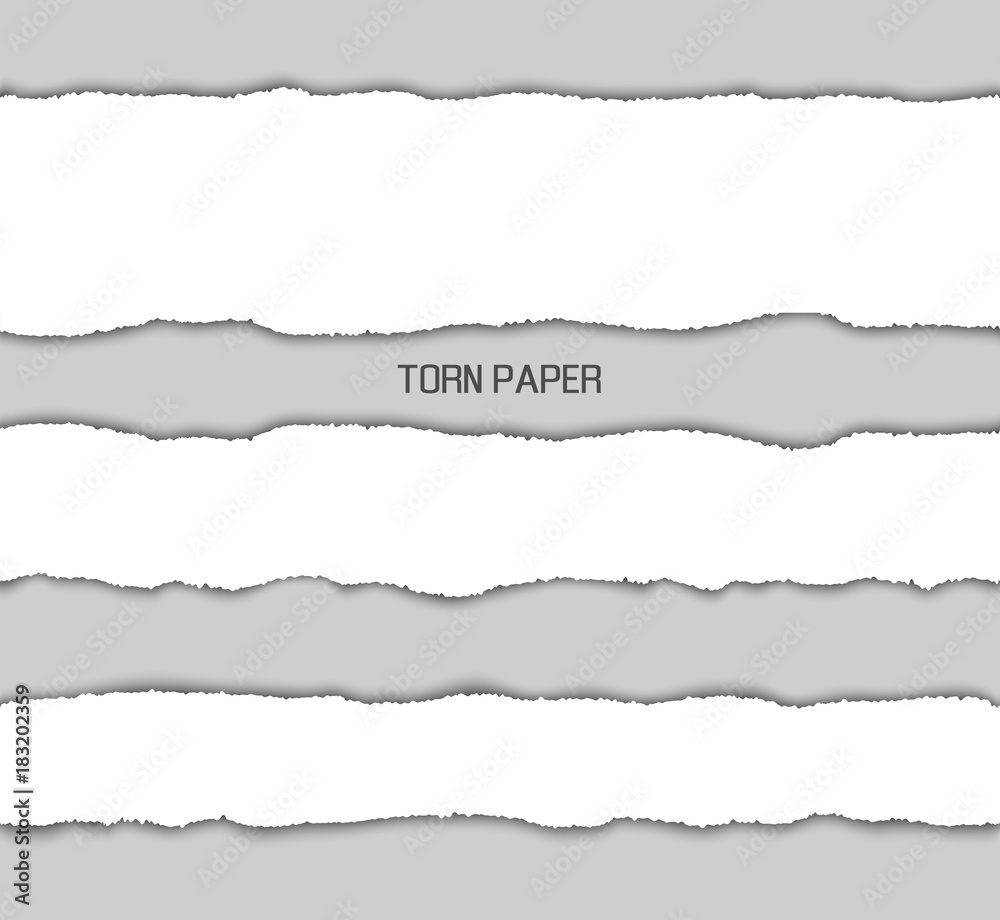 Torn Paper Picture Design Vector Illustration Stock Vector | Adobe Stock